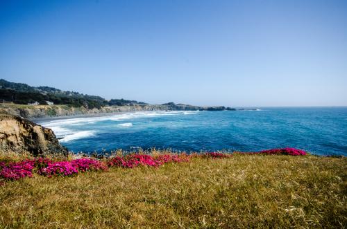 Top 42 Sea Ranch Vacation Rentals from $75 | Vacasa