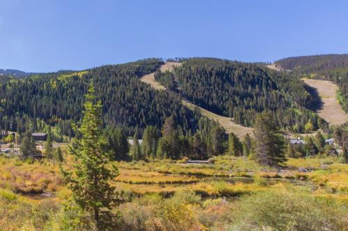 Top 42 Keystone Vacation Rentals from $50 | Vacasa