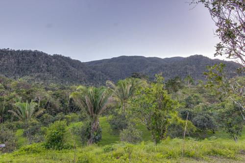 The Best Vacation Rentals in Belize from $49 | Vacasa