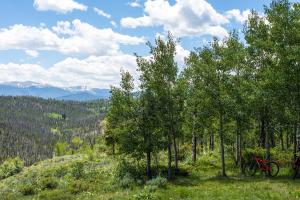 Tabernash Vacation Home Rentals, Colorado Cabin Rentals | Vacasa